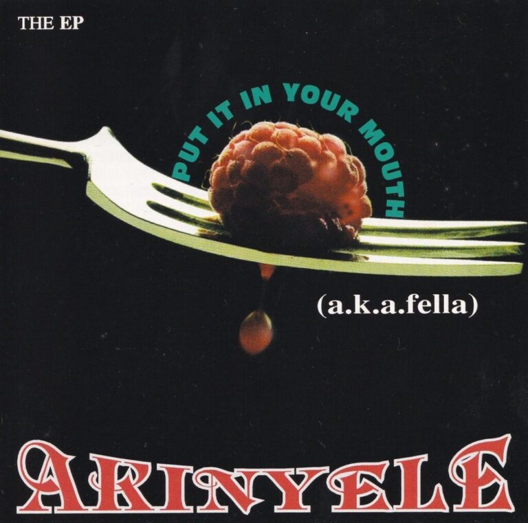 【Akinyele】アキネリのプロフィールとディスコグラフィー | US HIPHOPの日本盤CDカタログ